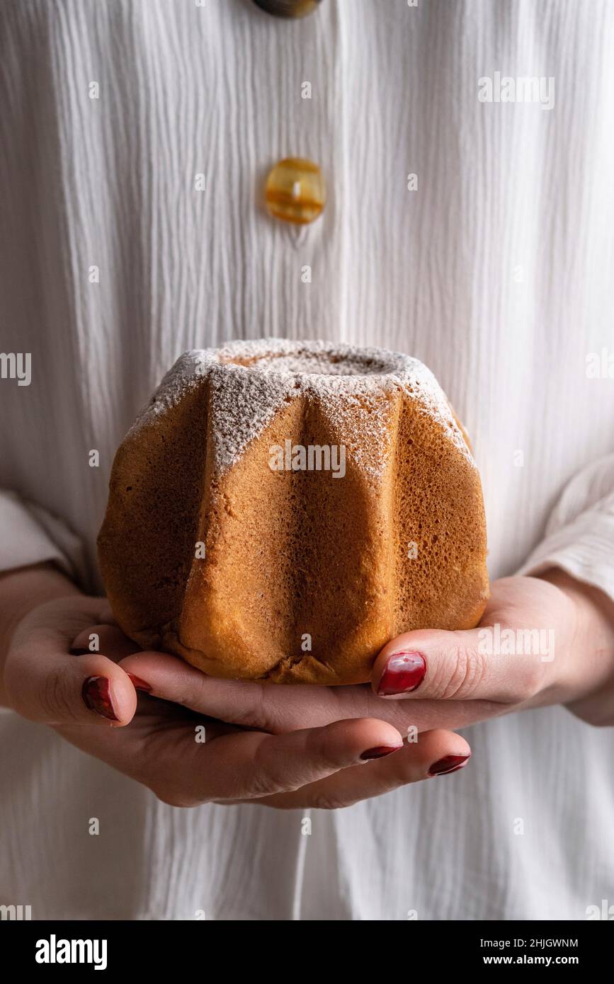 Hands holding a small pandoro being held in a womans hands Stock Photo ...