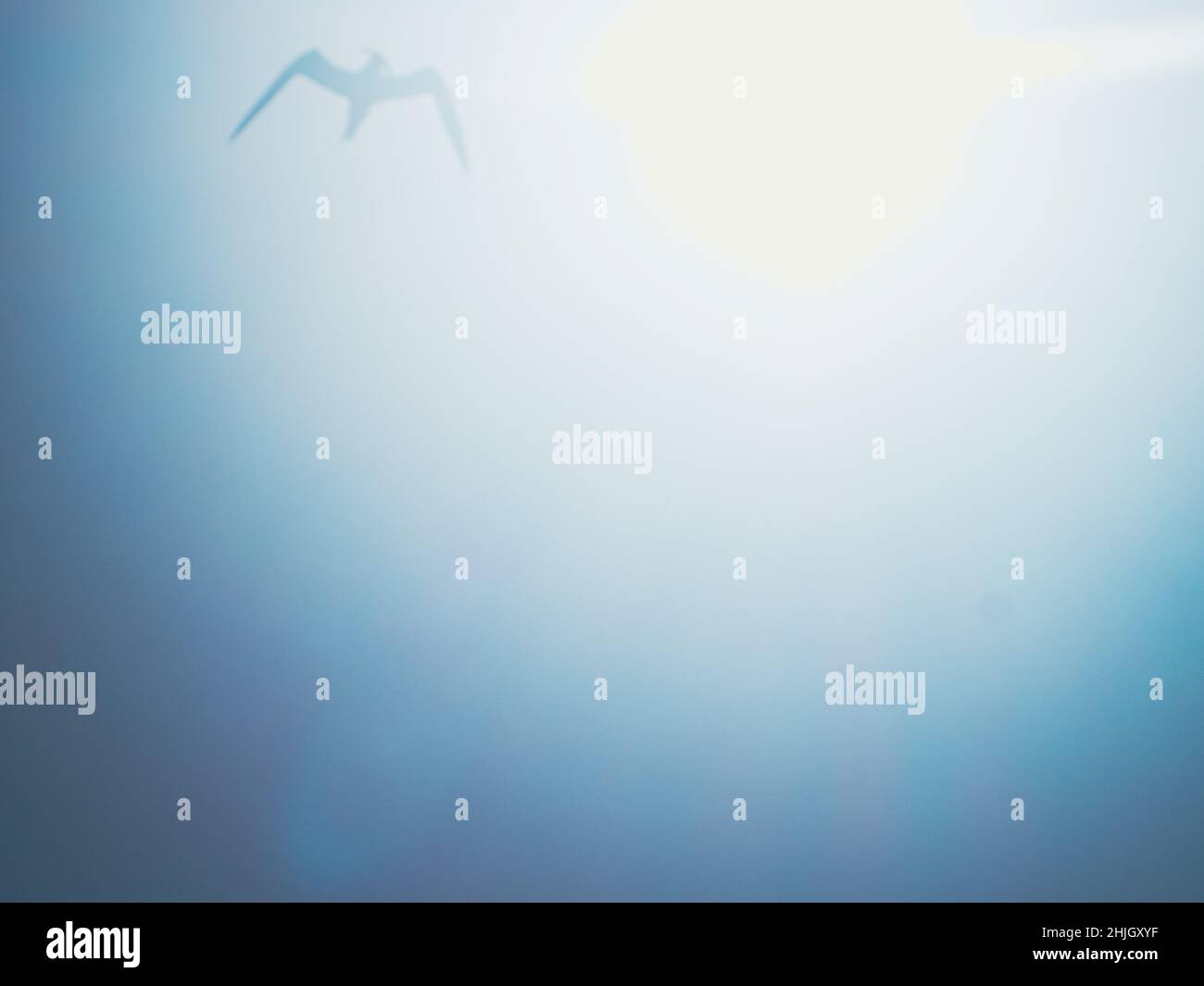 Tetradactyl shaped hi-res stock photography and images - Alamy