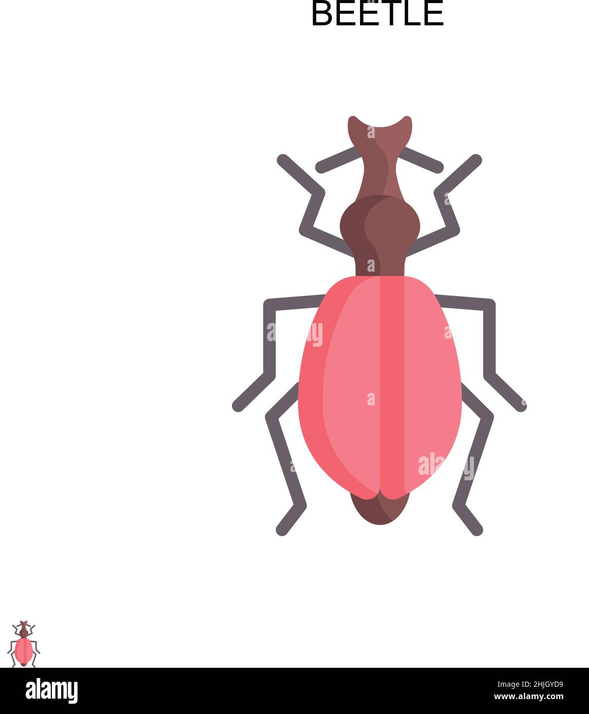 Beetle Template