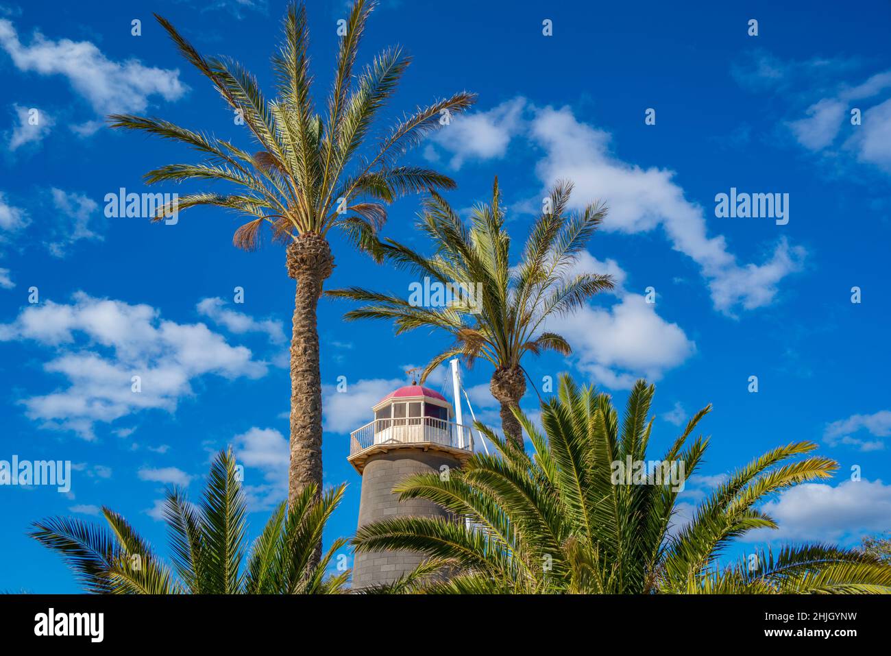 View of lighthouse and palm trees in Rubicon Marina, Playa Blanca ...