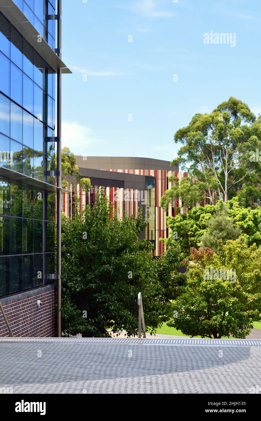 Macquarie University at North Ryde in Sydney, Australia Stock Photo - Alamy