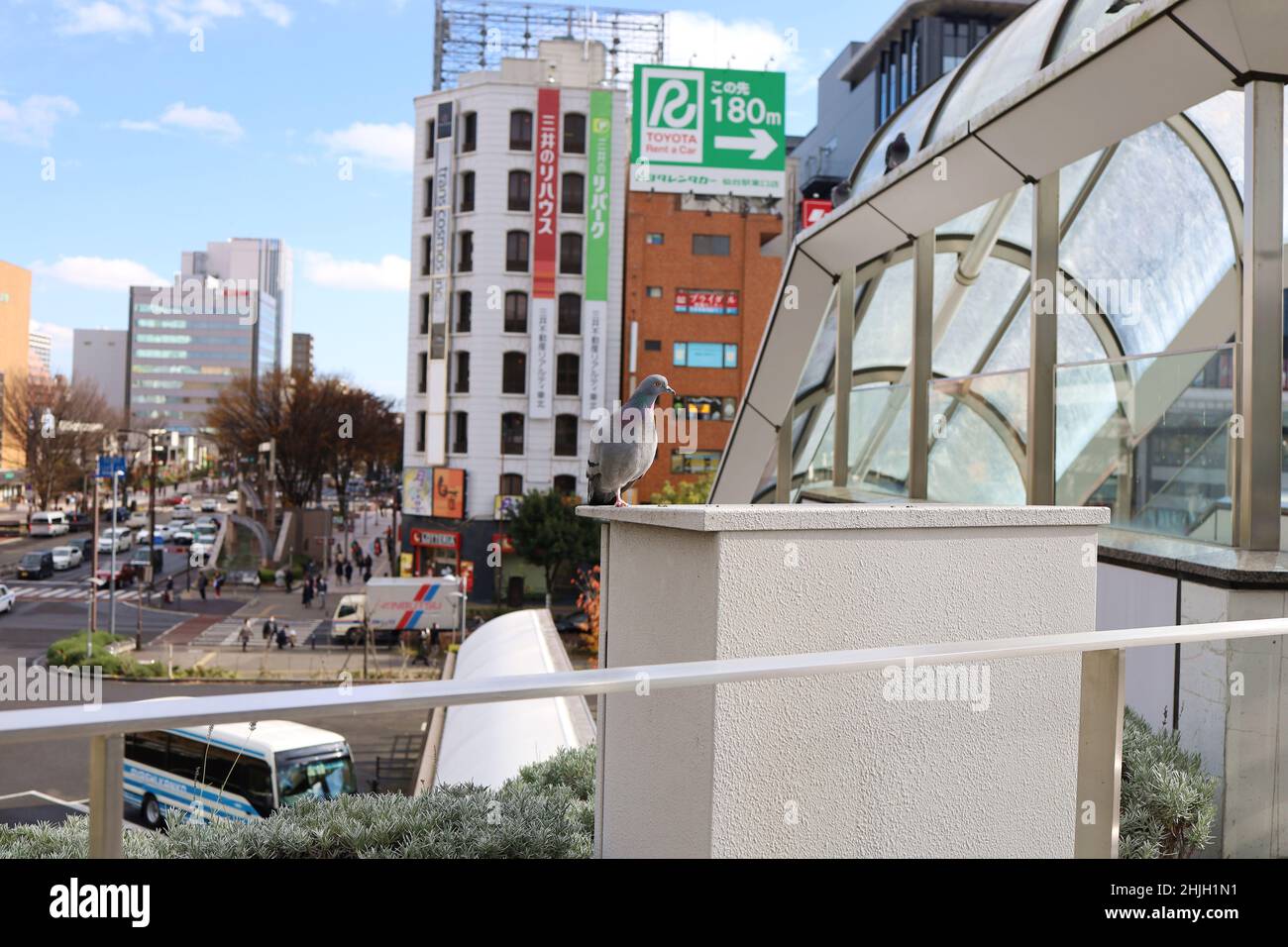 Sendai City, Miyagi Prefecture Japan, December 2021. Around the east ...