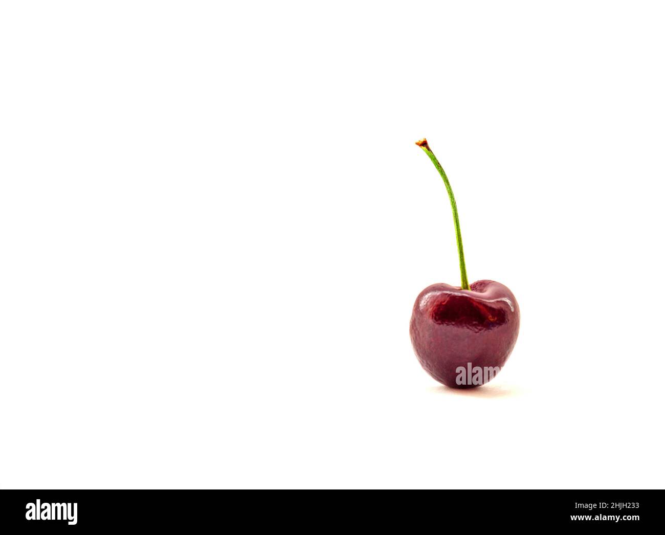 Shiny sweet cherry isolated on white background with place for text ...