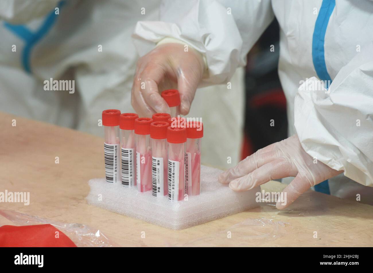 HANGZHOU, CHINA - JANUARY 29, 2022 - A staff member arranges nucleic ...