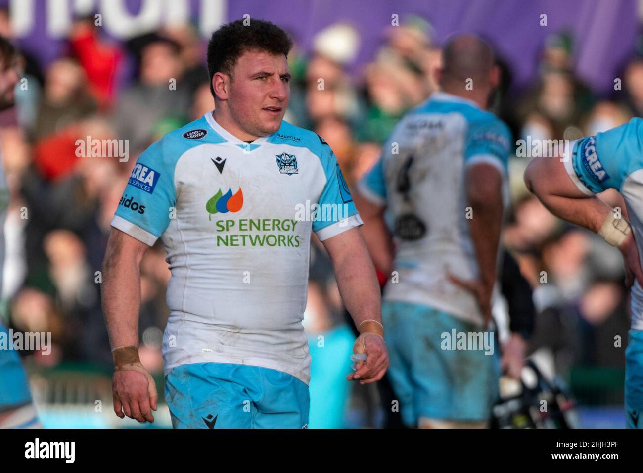 Duncan weir rugby union hi-res stock photography and images - Alamy