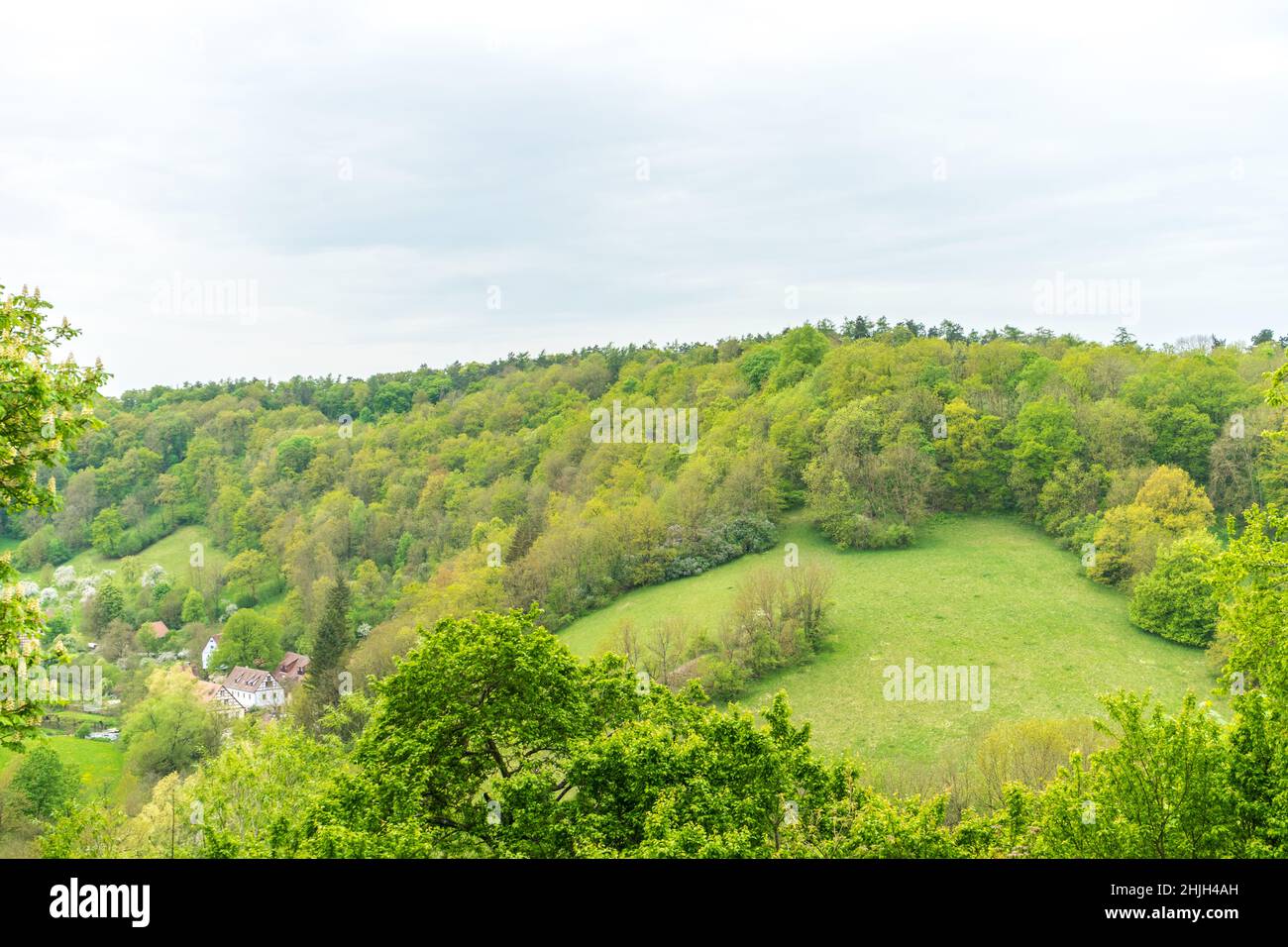 Tauber valley forest hi-res stock photography and images - Alamy