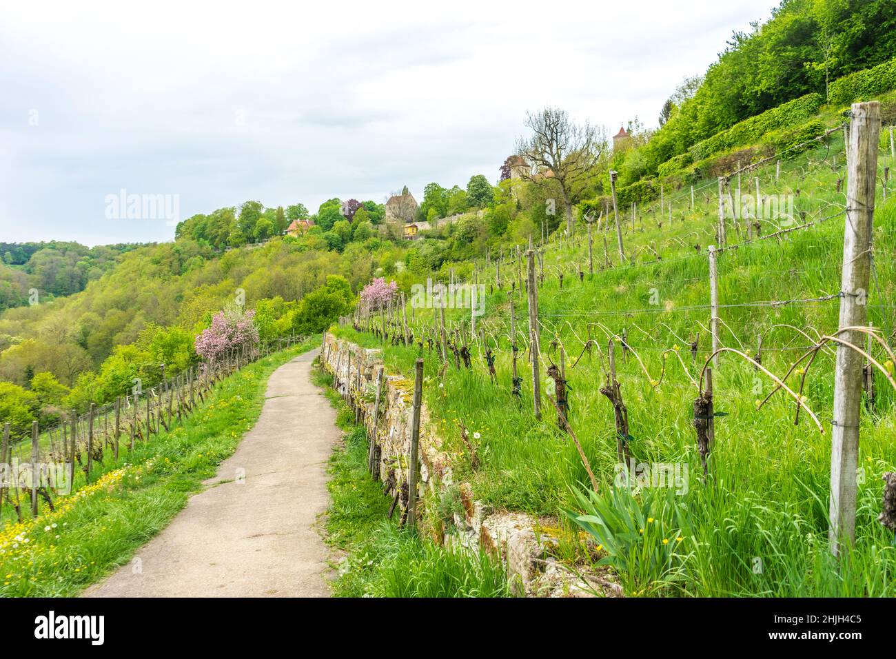 Walking trail through a rural valley in Rothenburg ob der Tauber ...