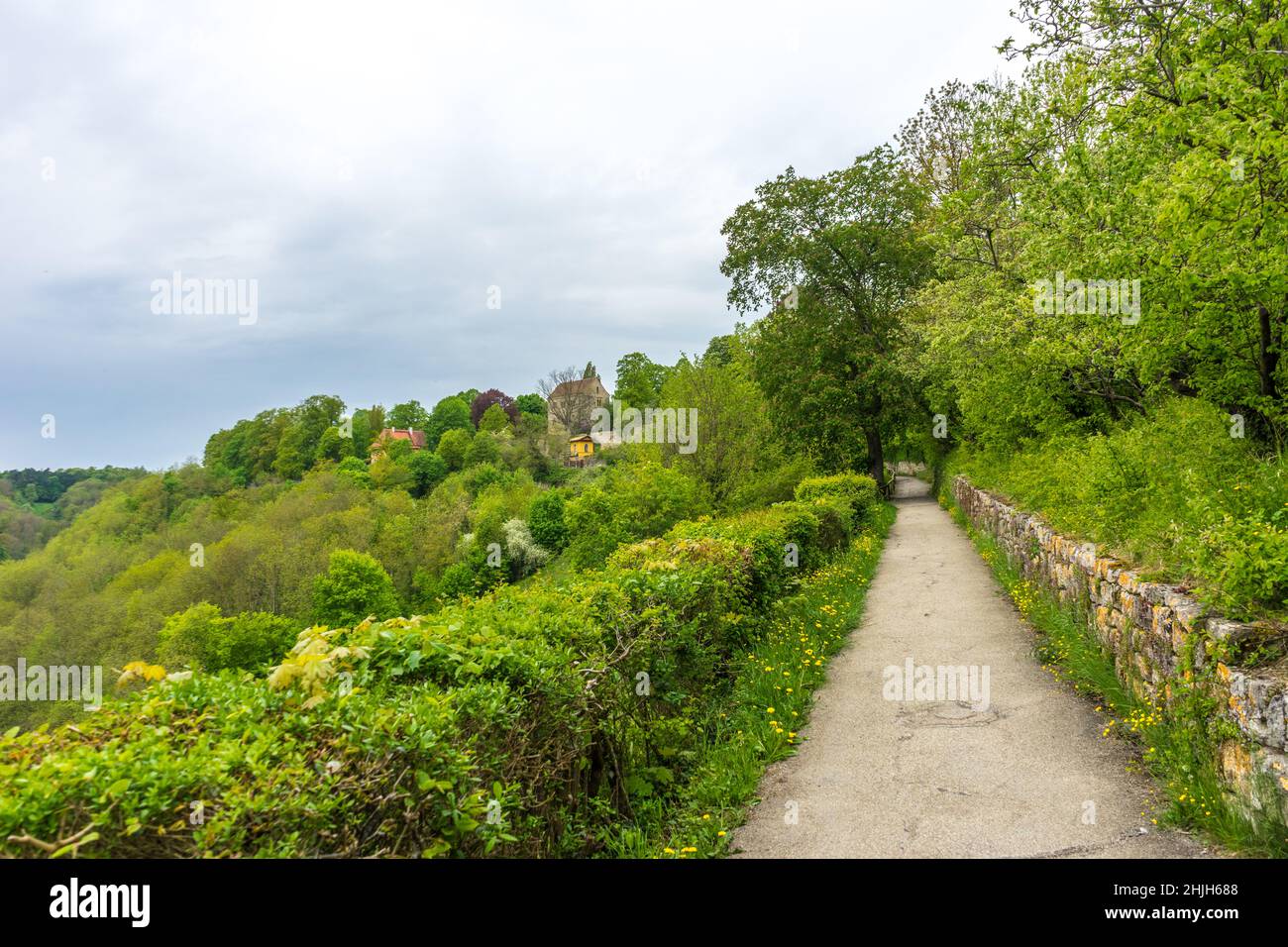 Tauber valley forest hi-res stock photography and images - Alamy