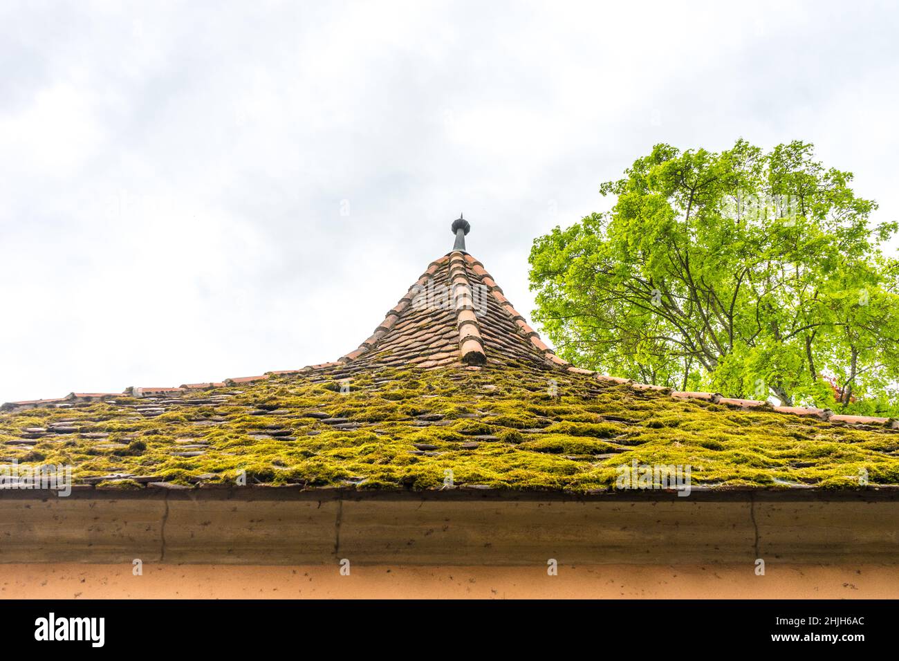 Low angle shot of a mossy building roof in Rothenburg ob der Tauber ...