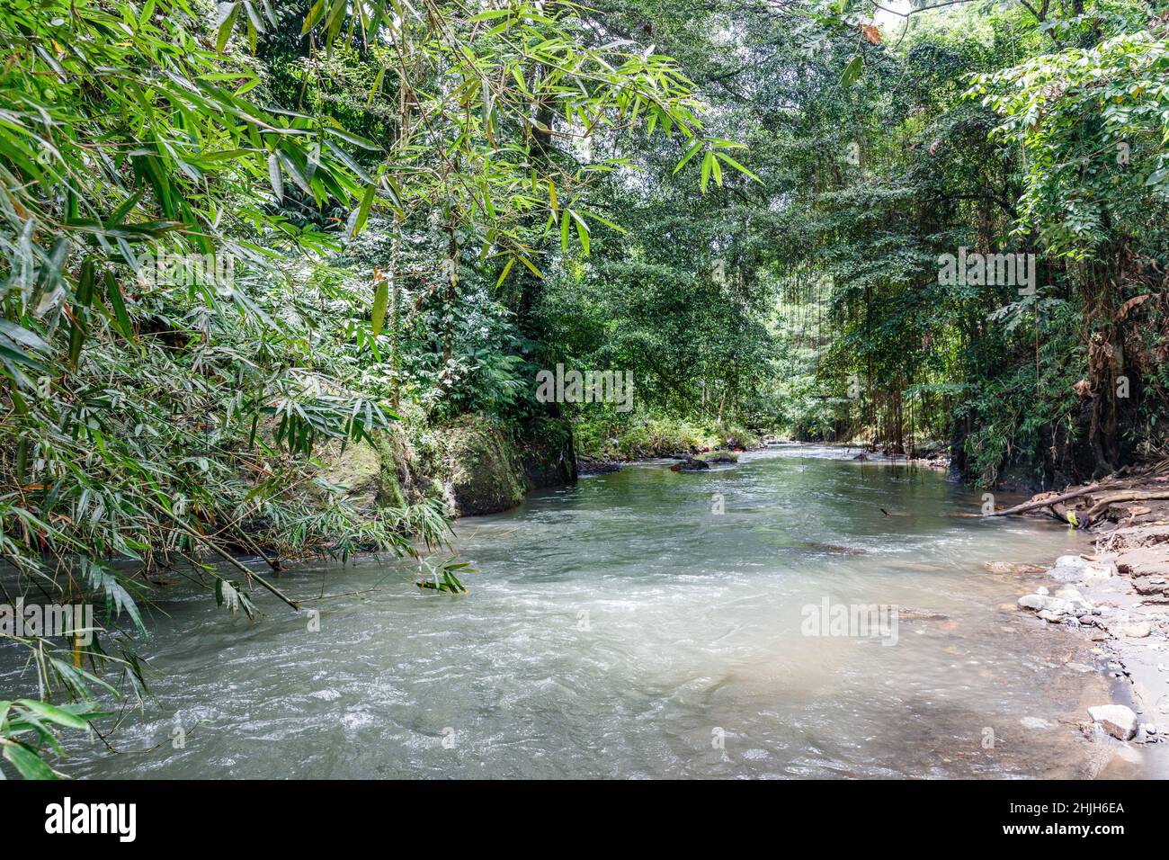 Pakerisan River near Goa Garba, ancient archaeological complex in ...