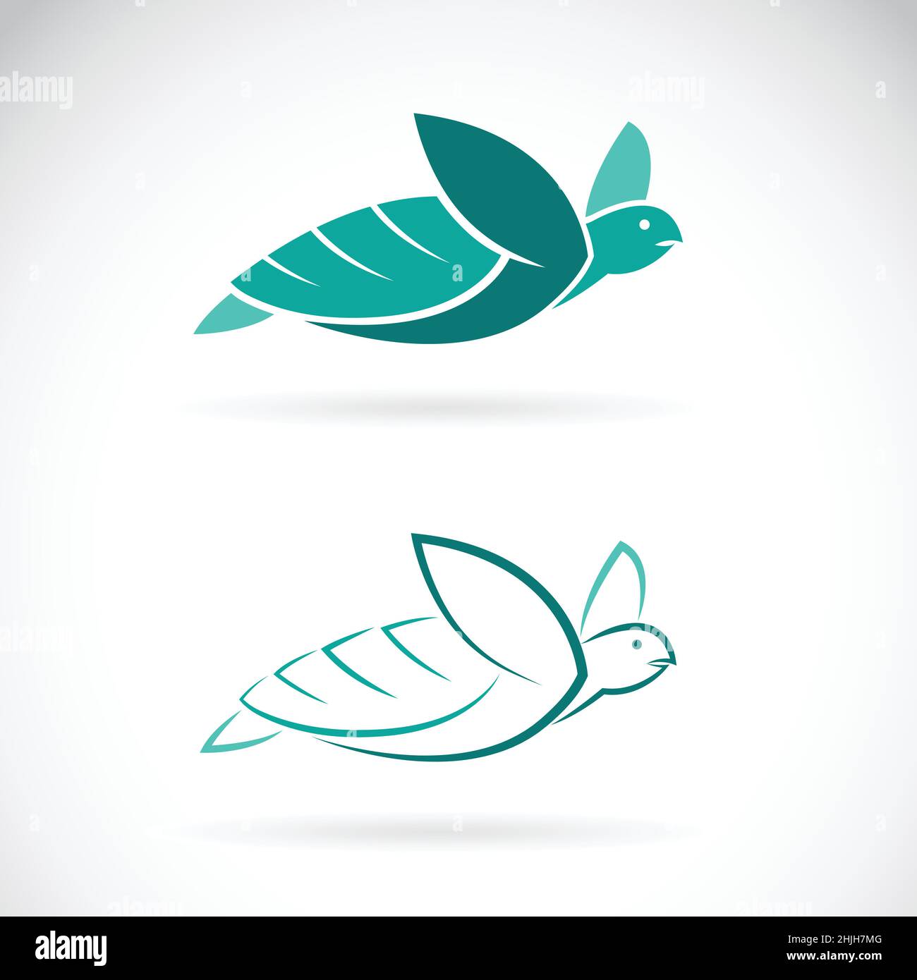 Vector of turtle design on white background. Sea animals. Easy editable ...