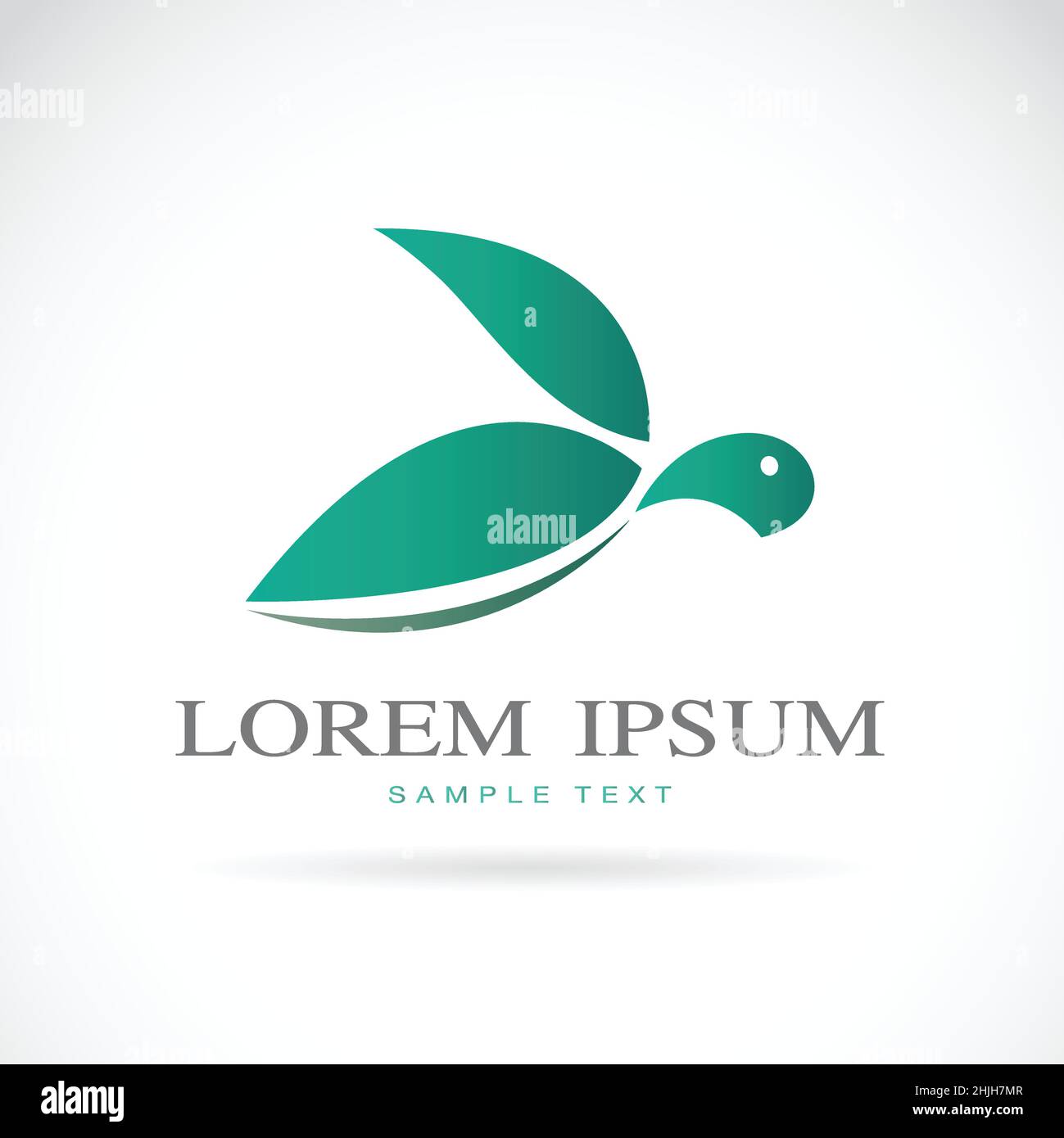 Vector of a turtle design on white background. Easy editable layered ...