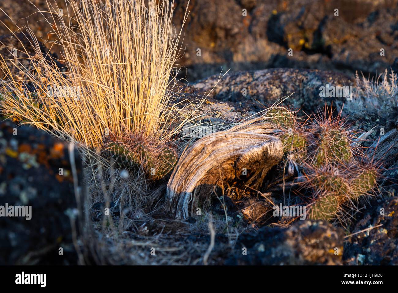 Hell’s half acre lava field hi-res stock photography and images - Alamy