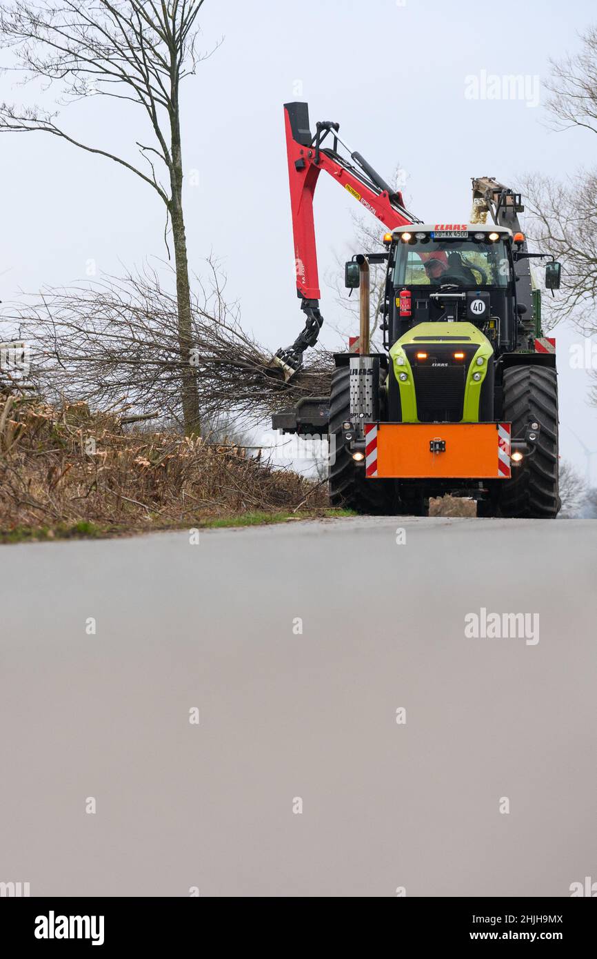 Rade, Germany. 19th Jan, 2022. Farmers use a wood chipper to chop up ...