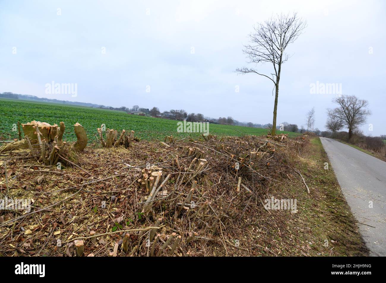 Rade, Germany. 19th Jan, 2022. An already shortened kink between a ...