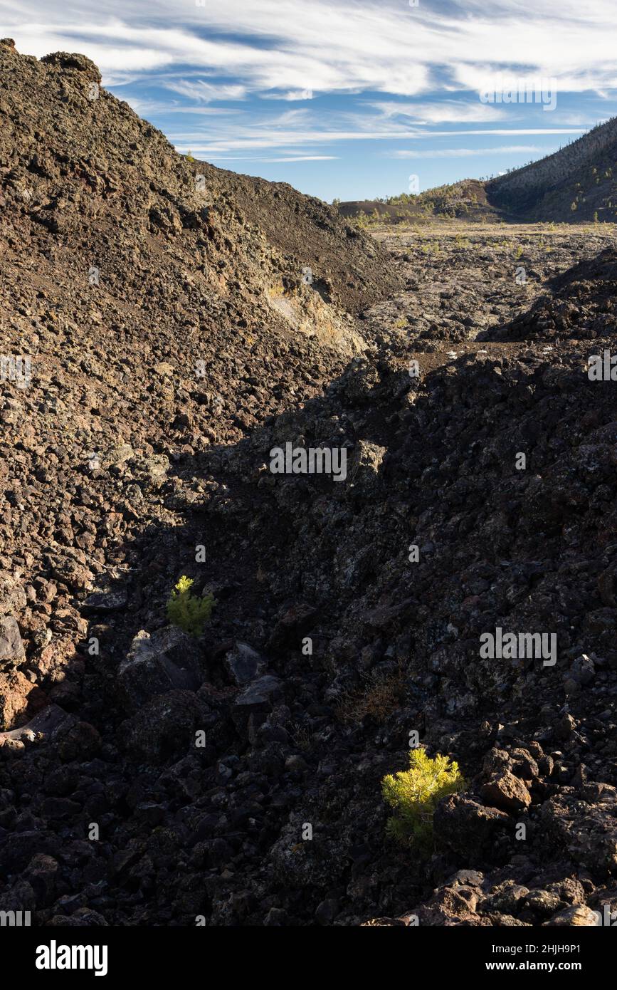 The Great Rift stretching out below the Broken Top Loop. Craters of the ...