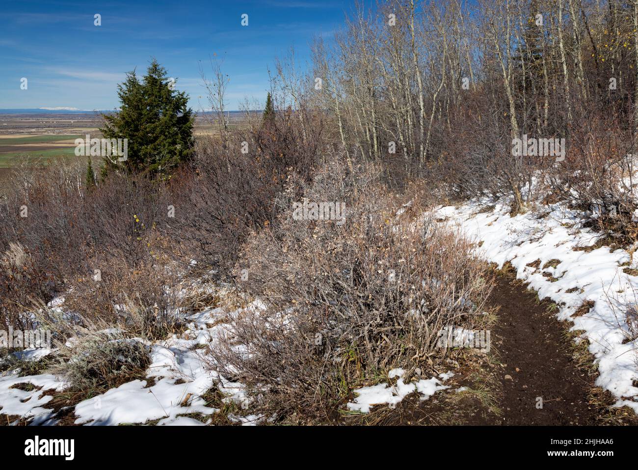 Snow lining the Aspen Trail in the Teton Mountains high above Teton ...