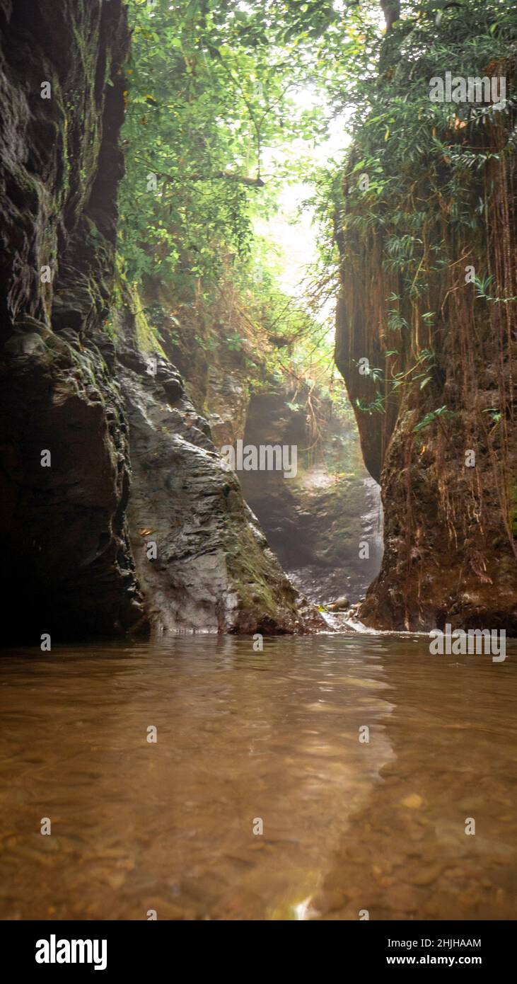 Landscape of mountain view when spring season, Indonesia. the photos is ...