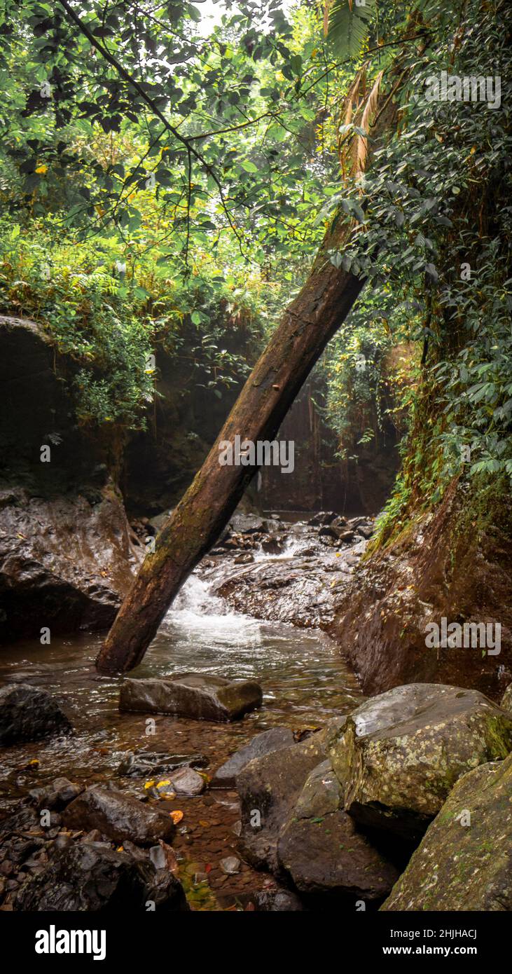 Landscape of mountain view when spring season, Indonesia. the photos is ...