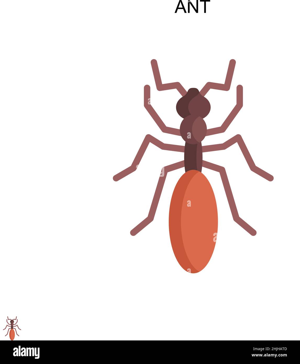 Ant wildlife Stock Vector Images - Alamy