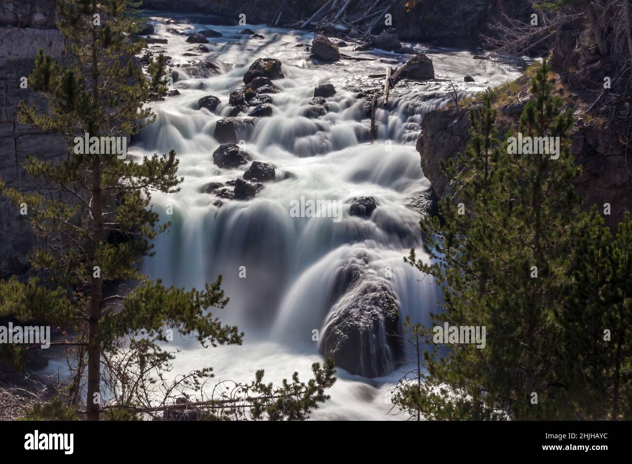 Beautiful of a fast running river with many stones among trees Stock ...