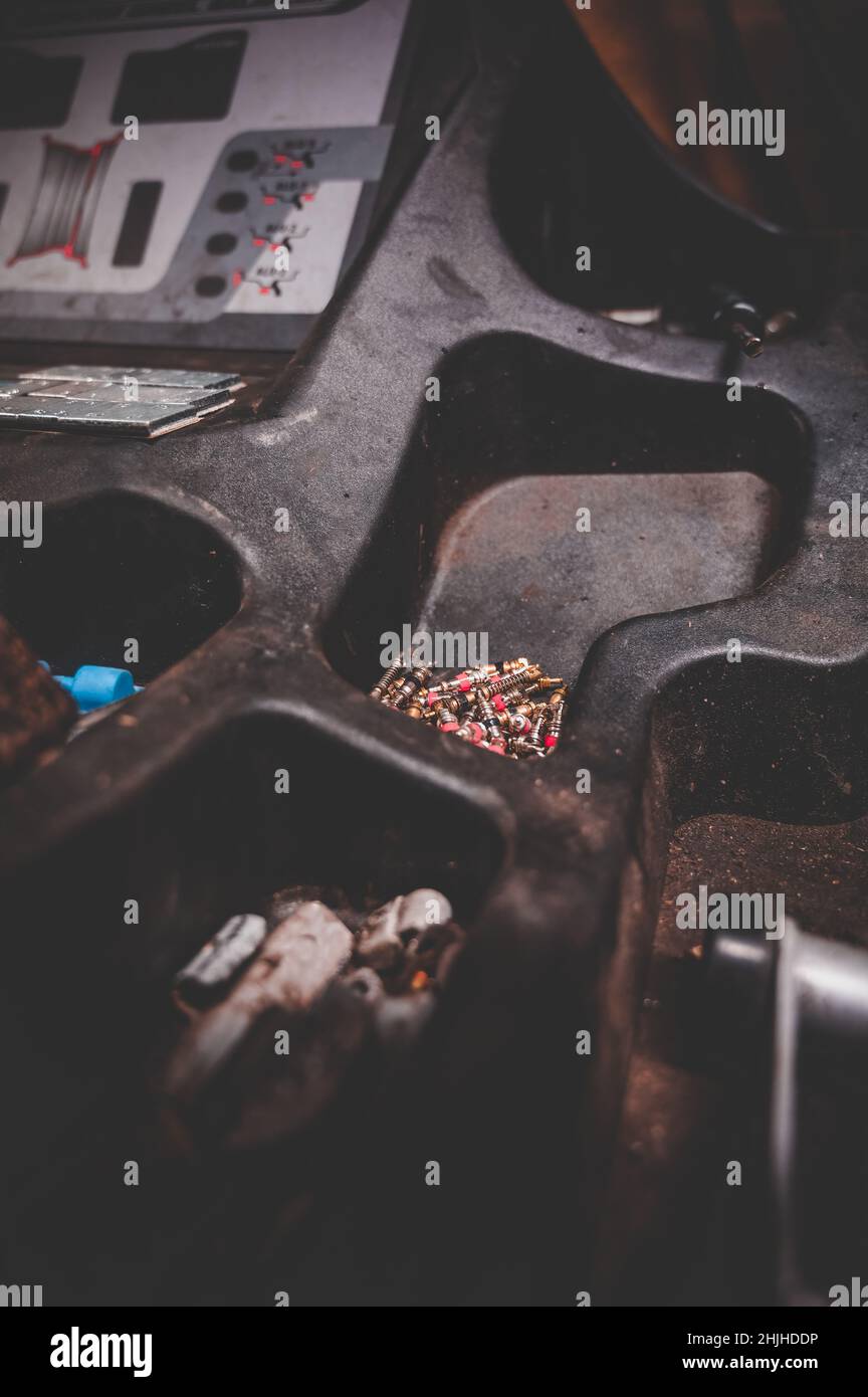 Sectioned plate hi-res stock photography and images - Alamy