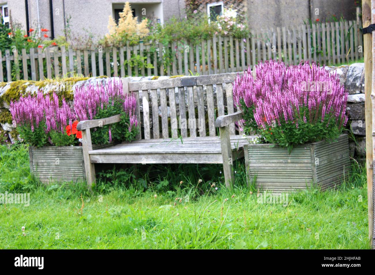 Wooden bench with pink flowers in pots Stock Photo - Alamy