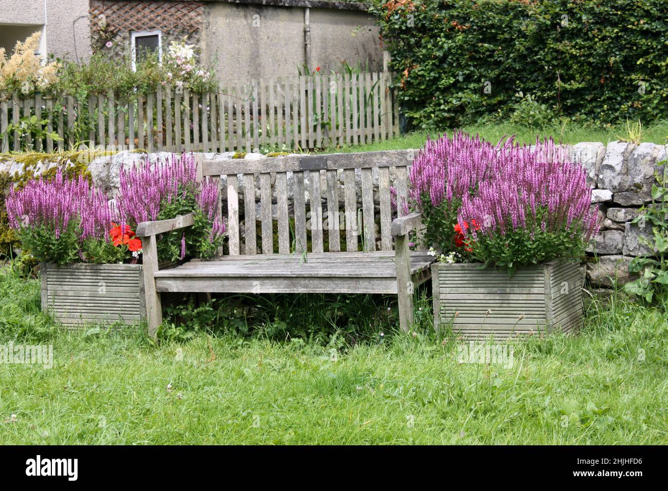 Wooden bench with pink flowers in pots Stock Photo - Alamy