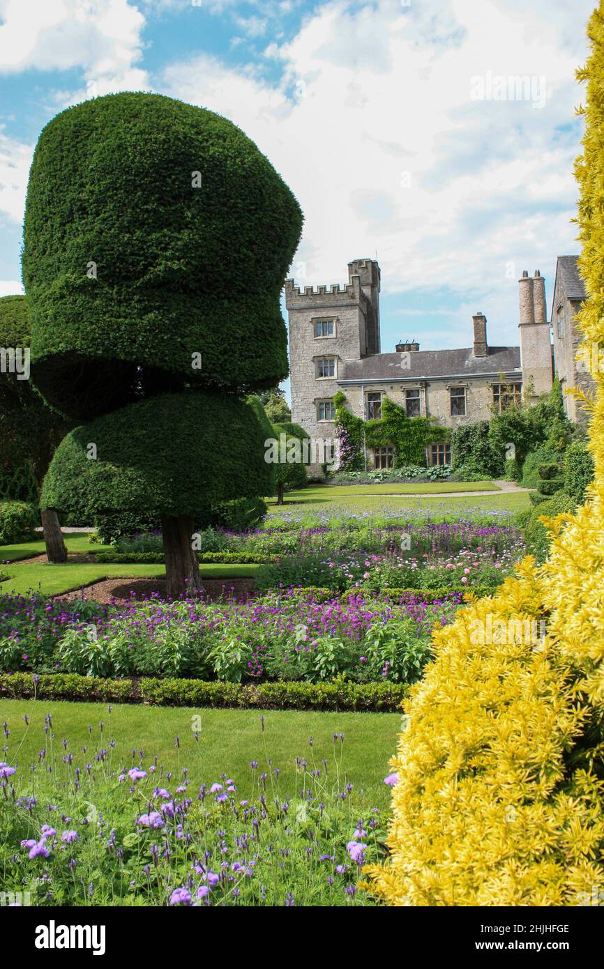 Decorative garden around the house Stock Photo - Alamy