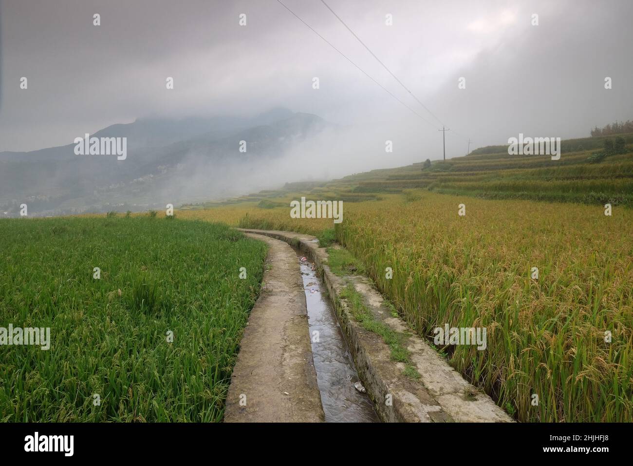 Amazing fields of rice a style of Agriculture in Yunnan Province south ...