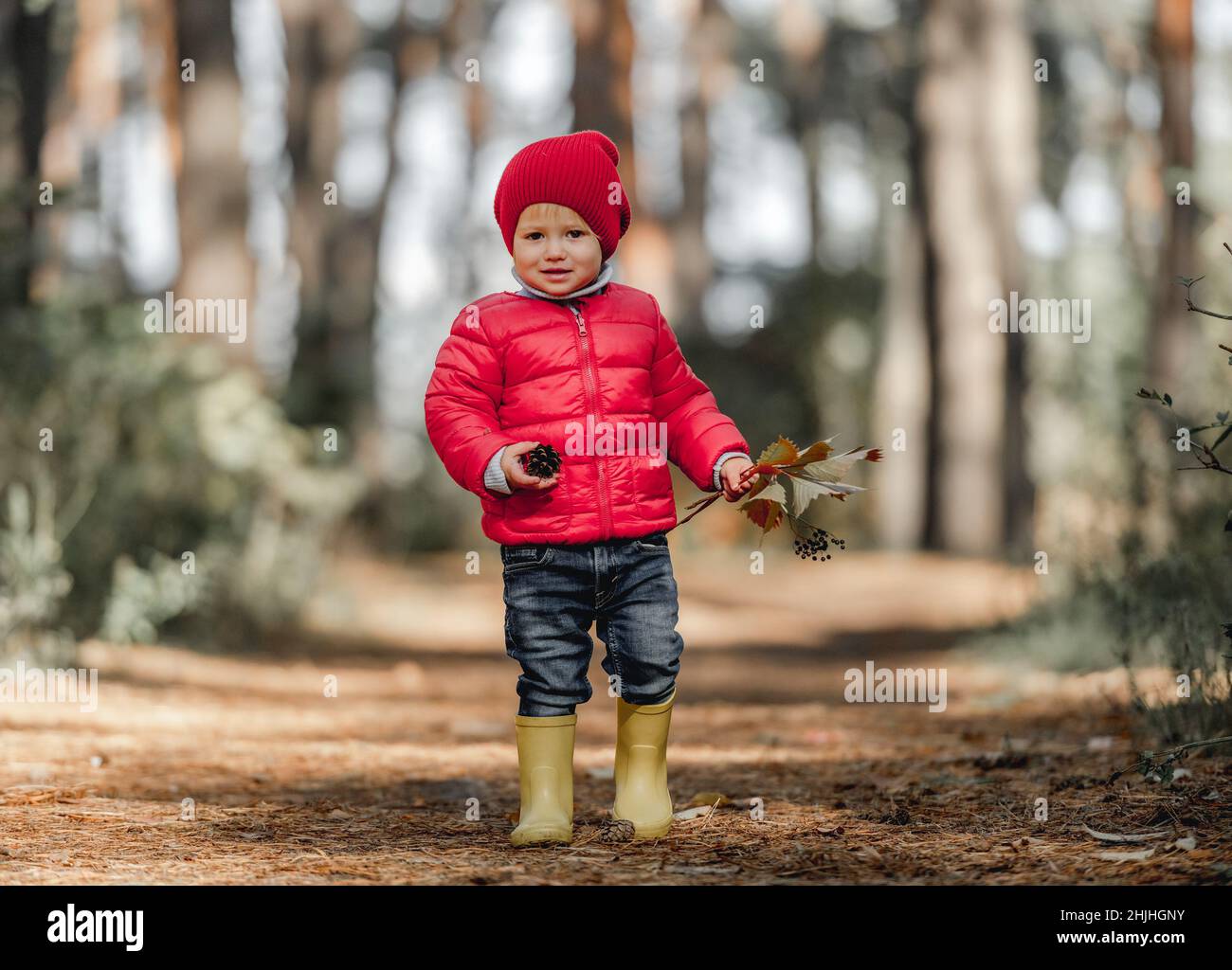 Little girl walking in the forest Stock Photo - Alamy