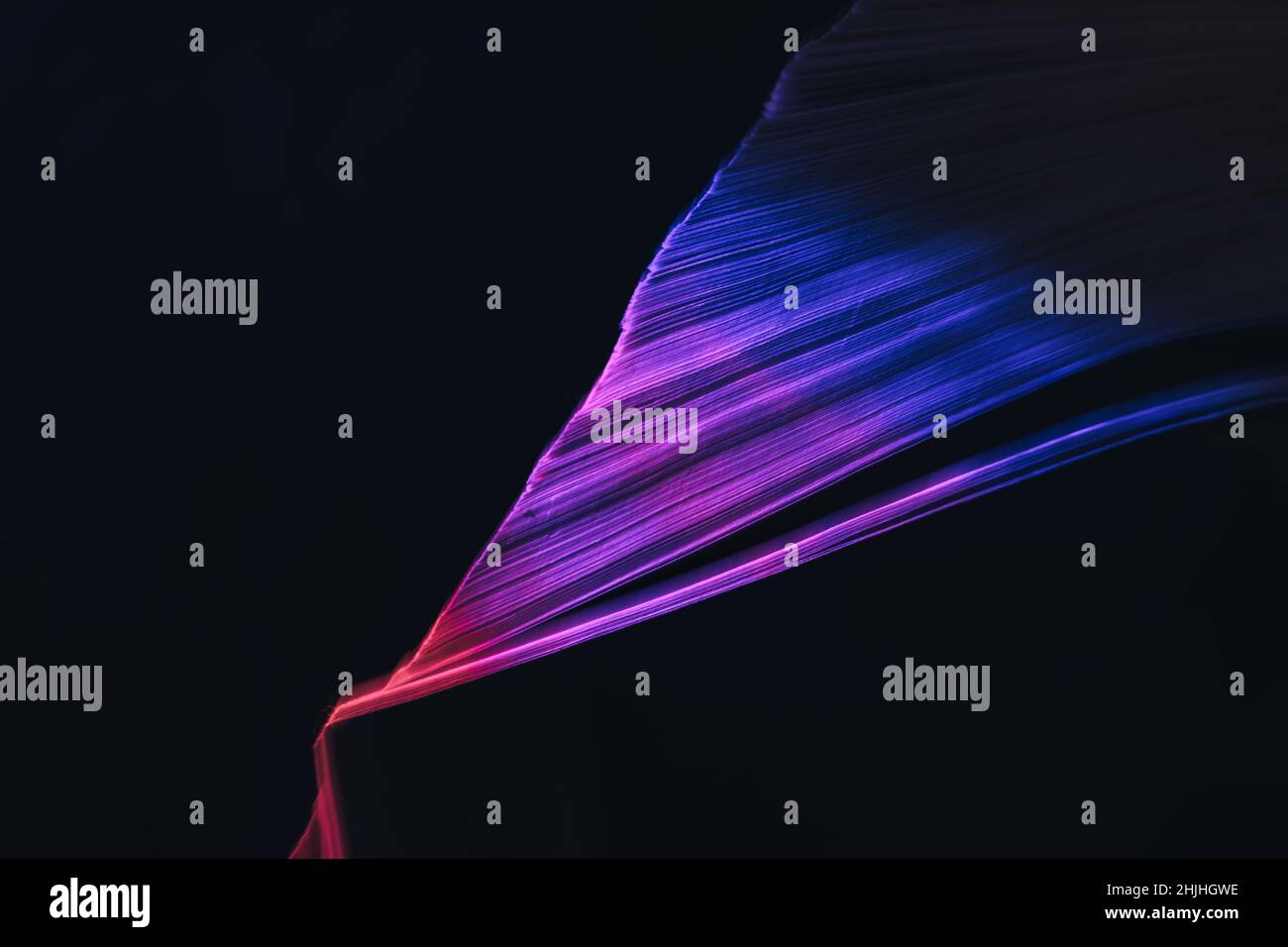 Close up Beautiful book pages in the multi color light on a night ...