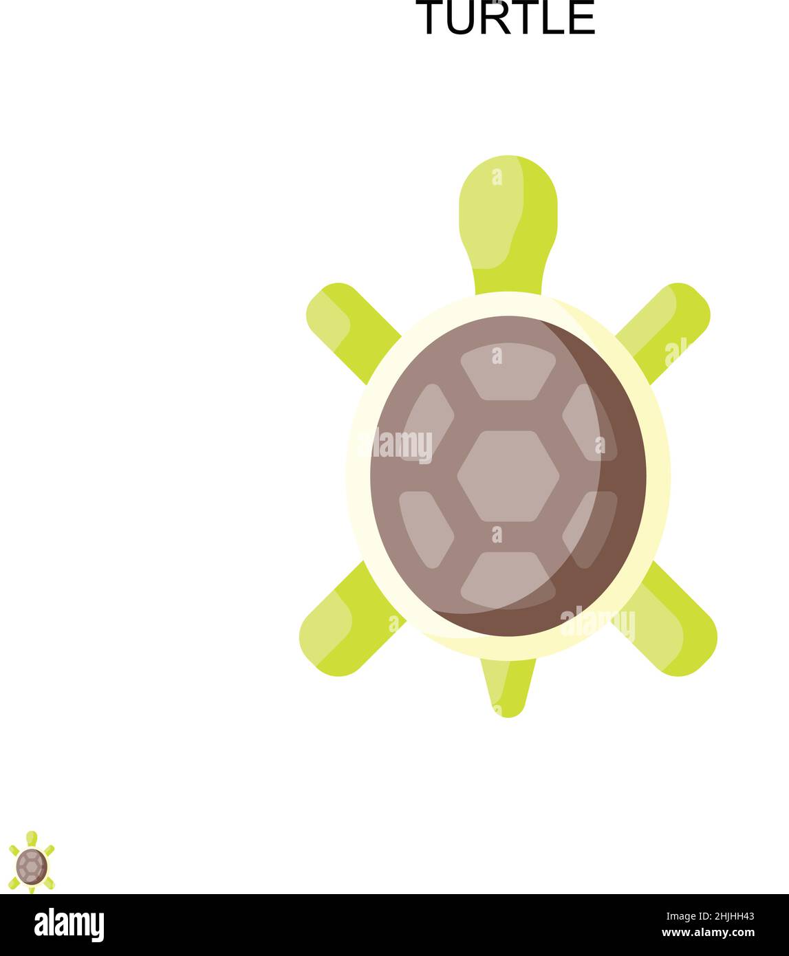 Turtle Simple vector icon. Illustration symbol design template for web ...