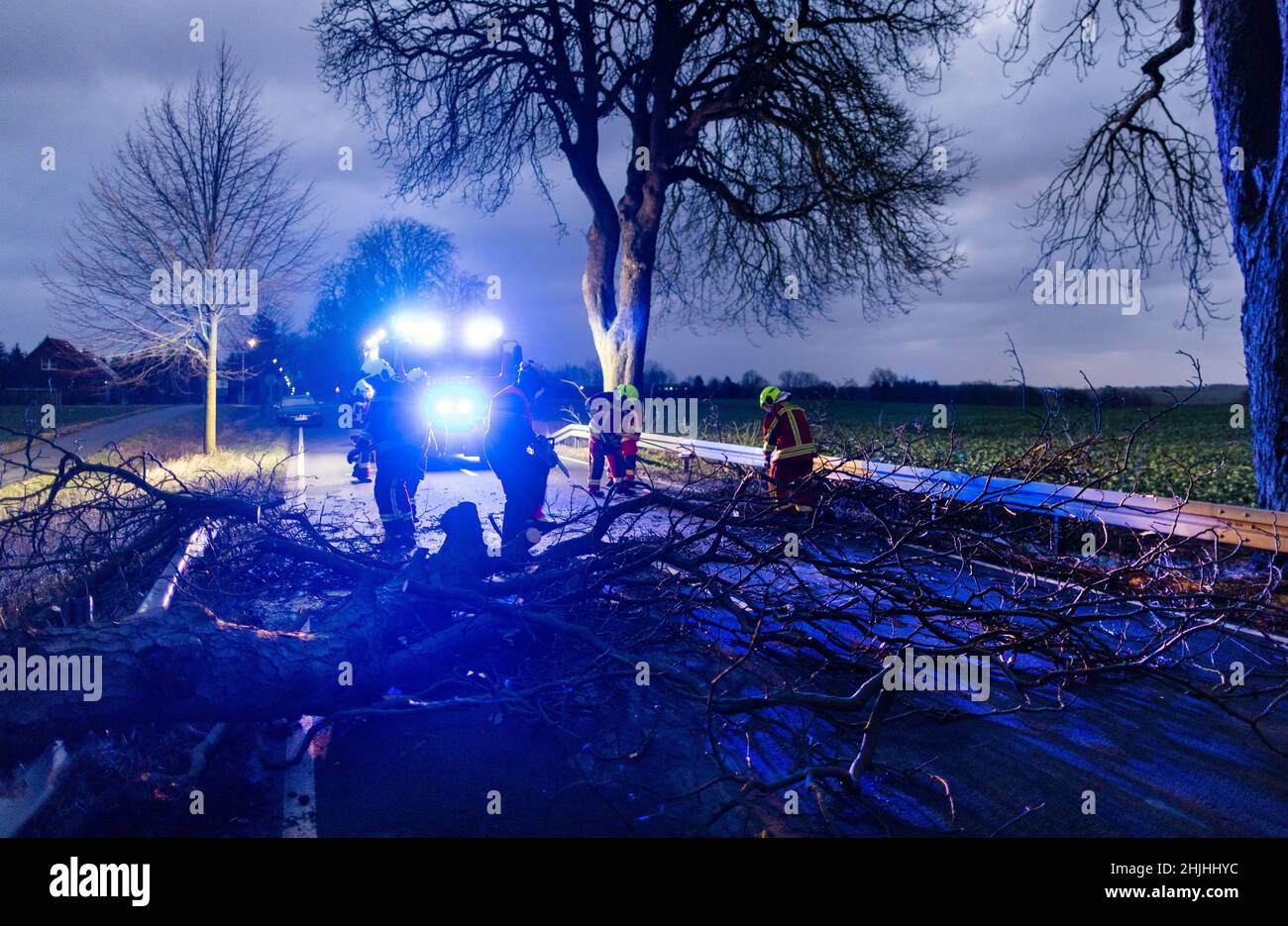 Gadebusch, Germany. 30th Jan, 2022. Firefighters clear away a fallen ...