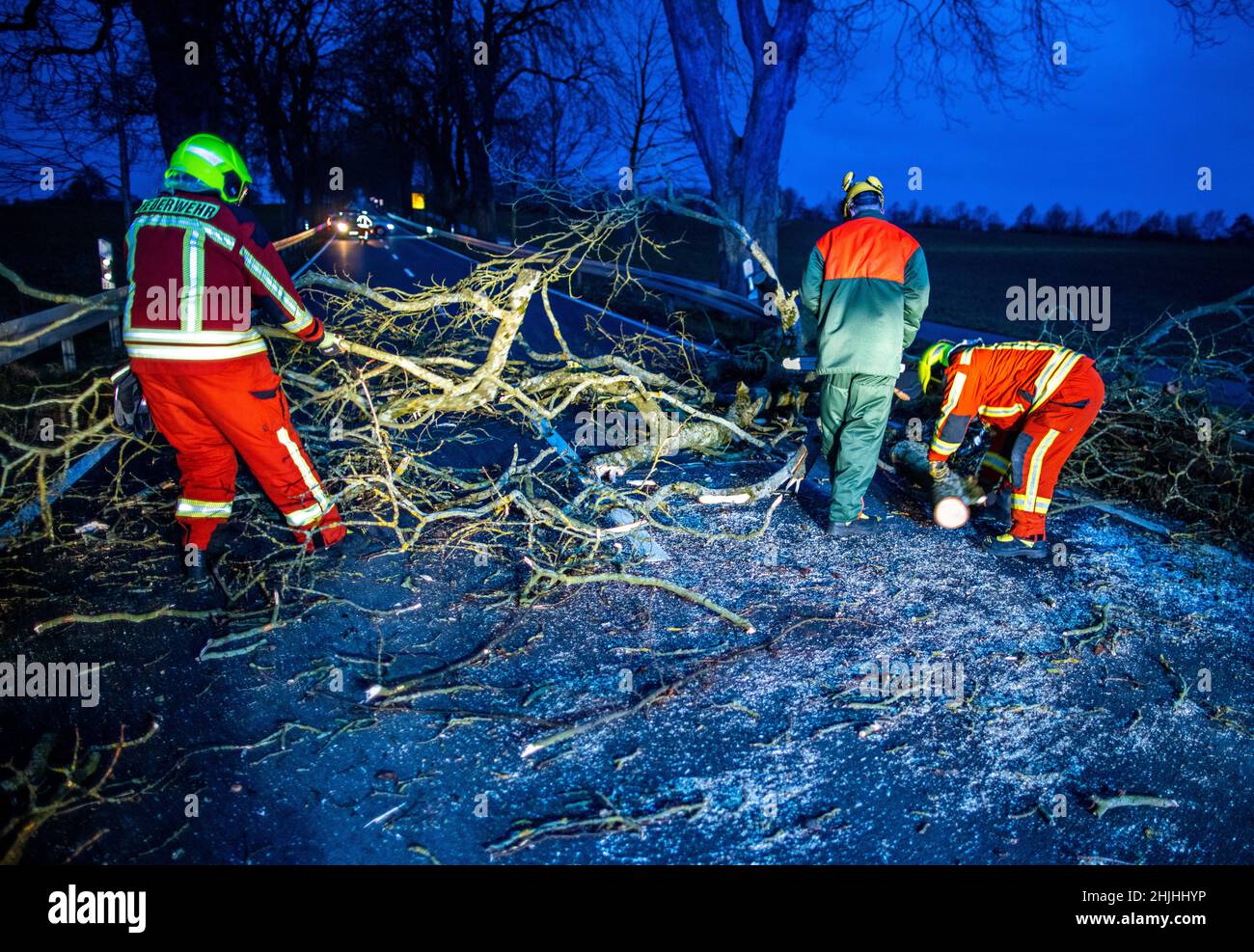Gadebusch, Germany. 30th Jan, 2022. Firefighters clear away a fallen ...