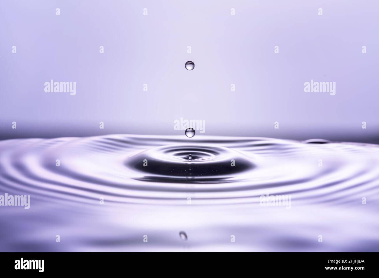 Drops of water falling on smooth wet surface. Purple blurred background ...
