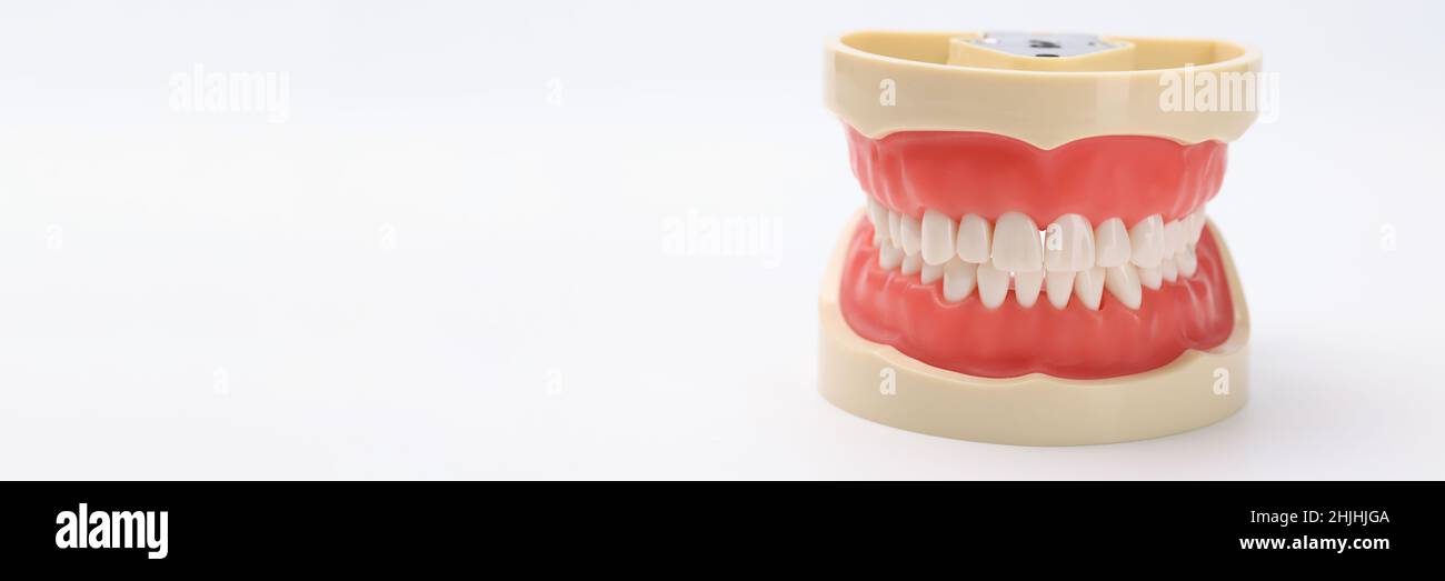 Have even teeth hi-res stock photography and images - Alamy