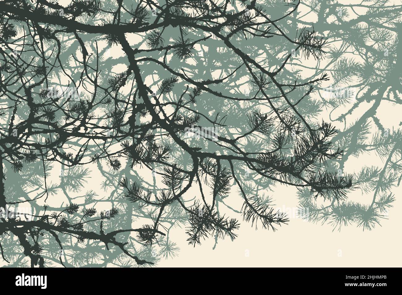 Pine tree and branches silhouette. detailed vector illustration Stock ...
