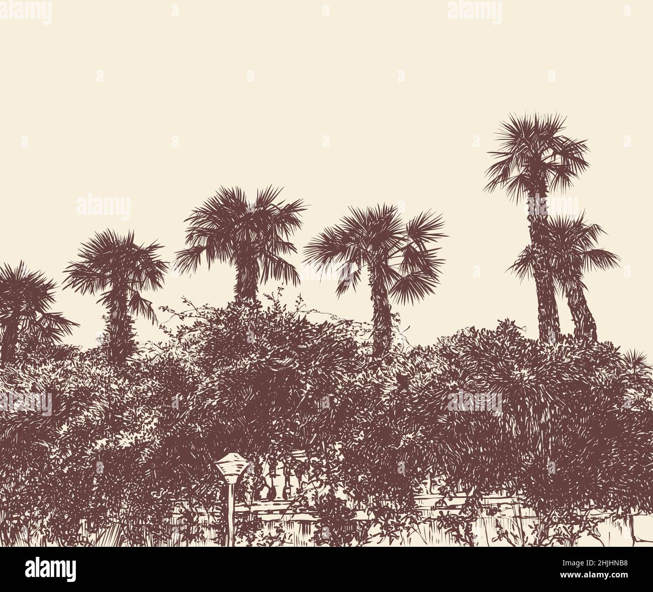 Resort landscape with palm trees. vector illustration Stock Vector ...