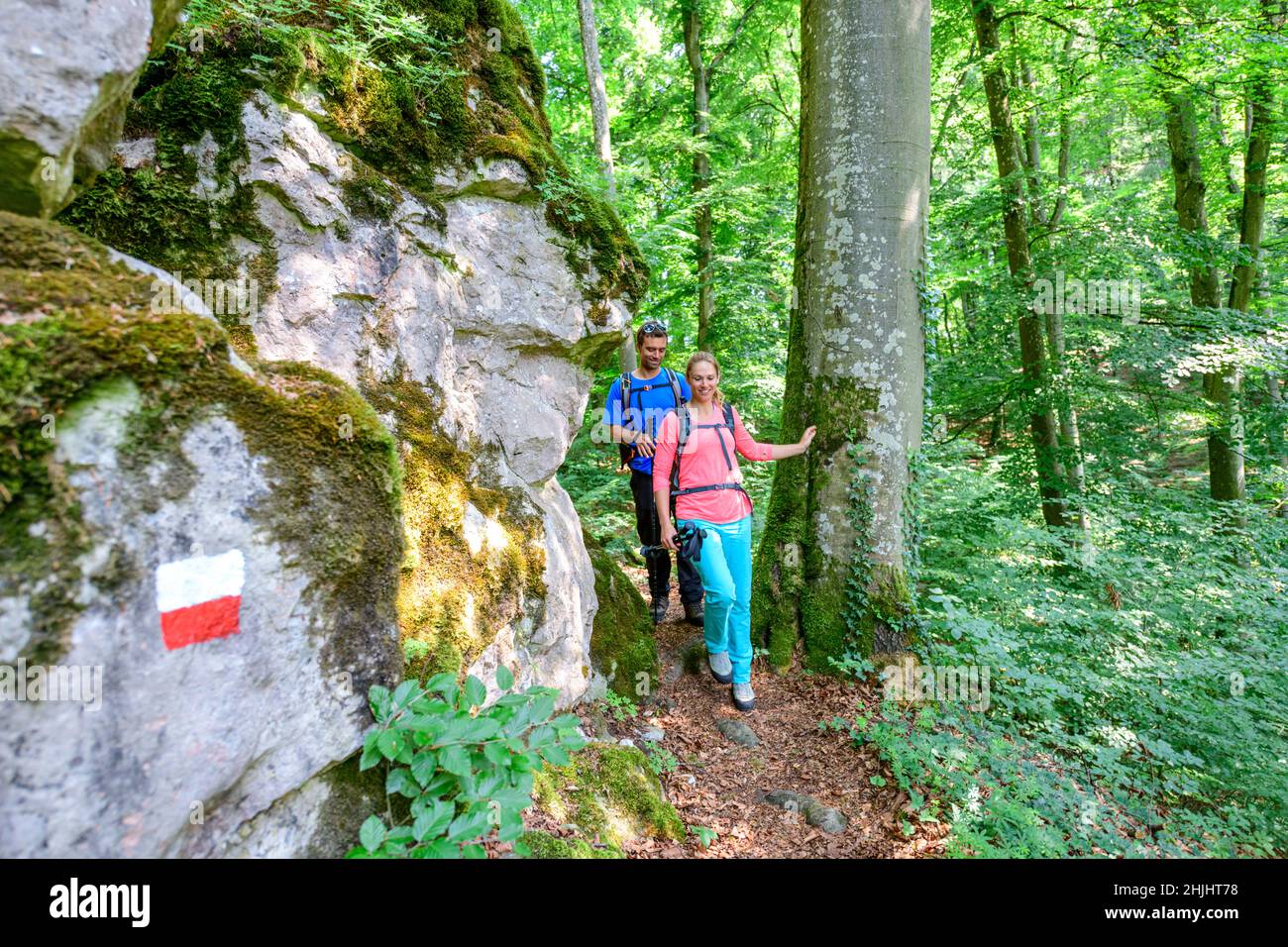 Adventure hike in a shady forest in nature park Altmühltal Stock Photo ...