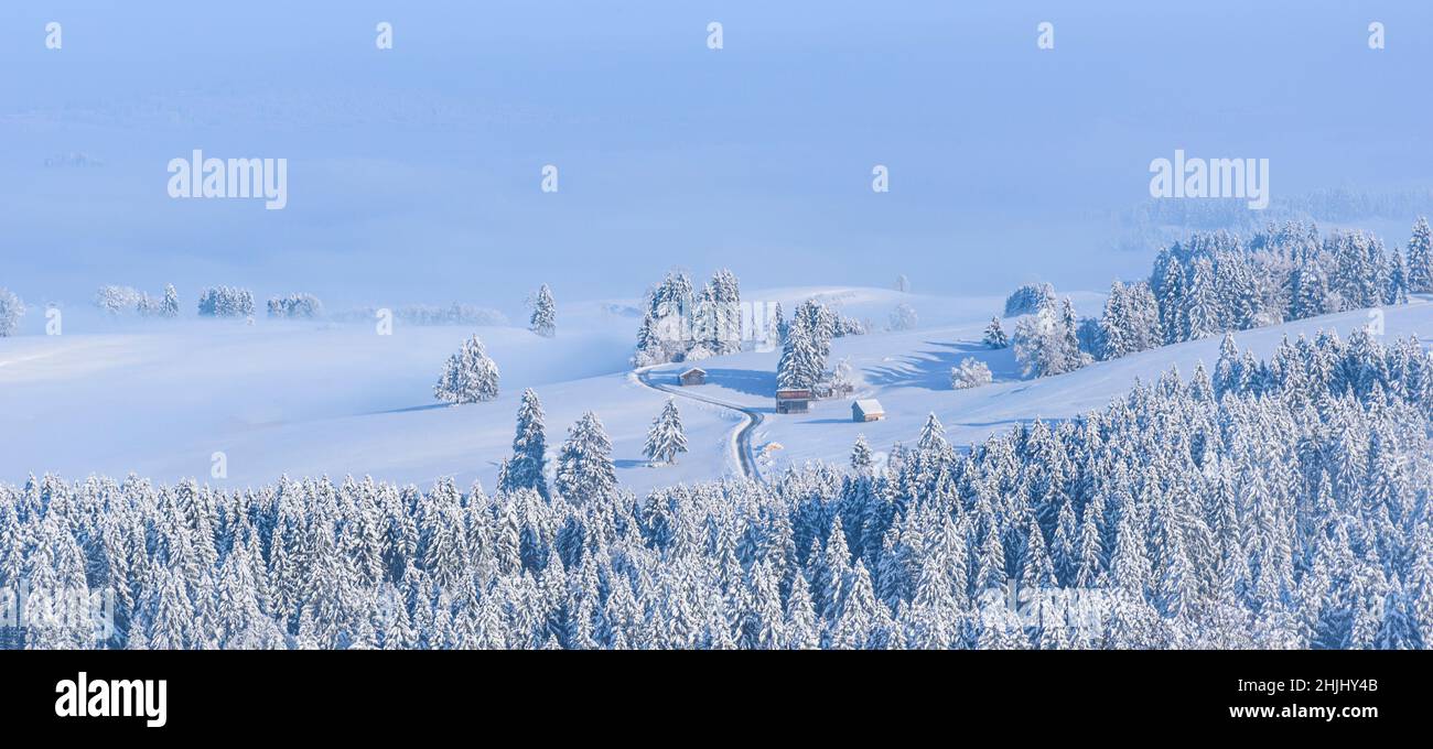 Glorious winter morning with half a metre of fresh powder snow in the ...