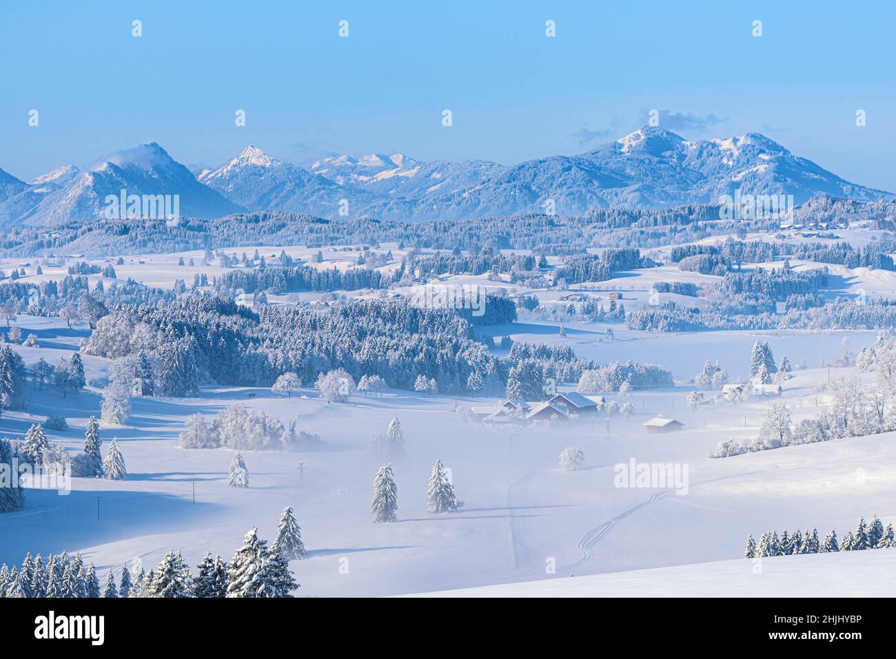 Glorious winter morning with half a metre of fresh powder snow in the ...