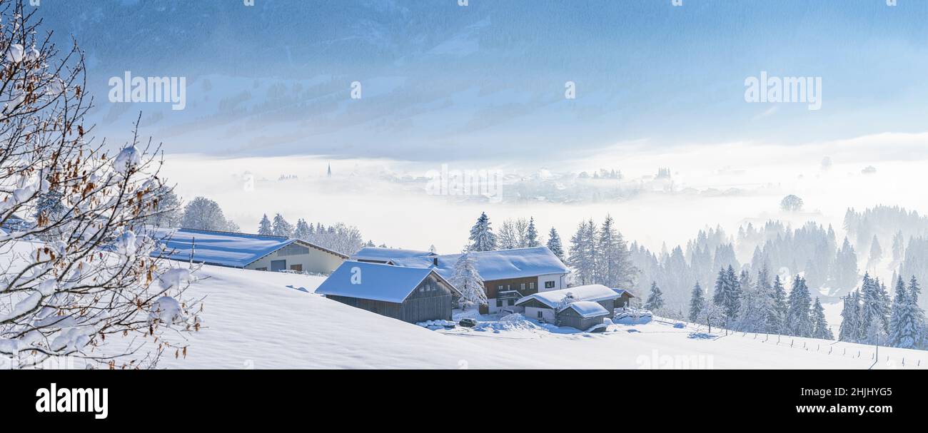 Glorious winter morning with half a metre of fresh powder snow in the ...