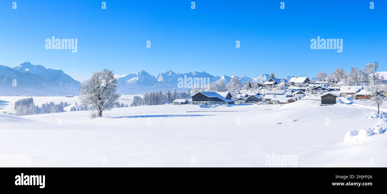 Glorious winter morning with half a metre of fresh powder snow in the ...