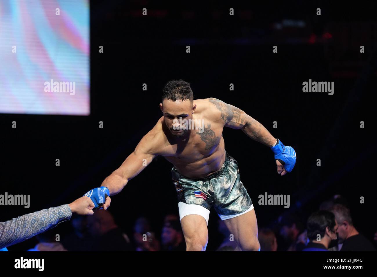 Louis awad hi-res stock photography and images - Alamy