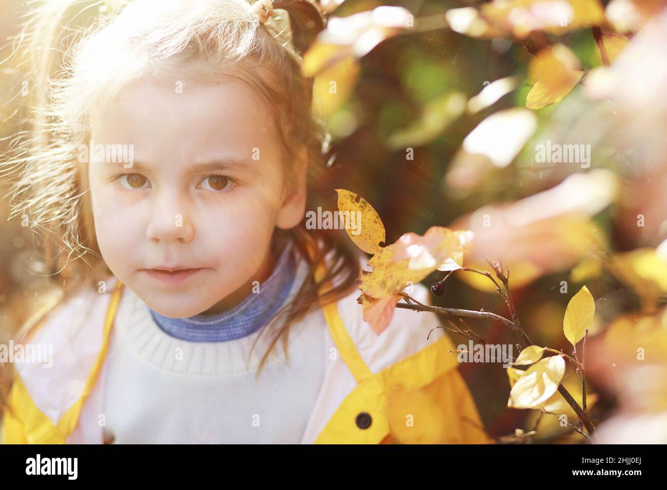 Children walk in the autumn park in the fall Stock Photo - Alamy