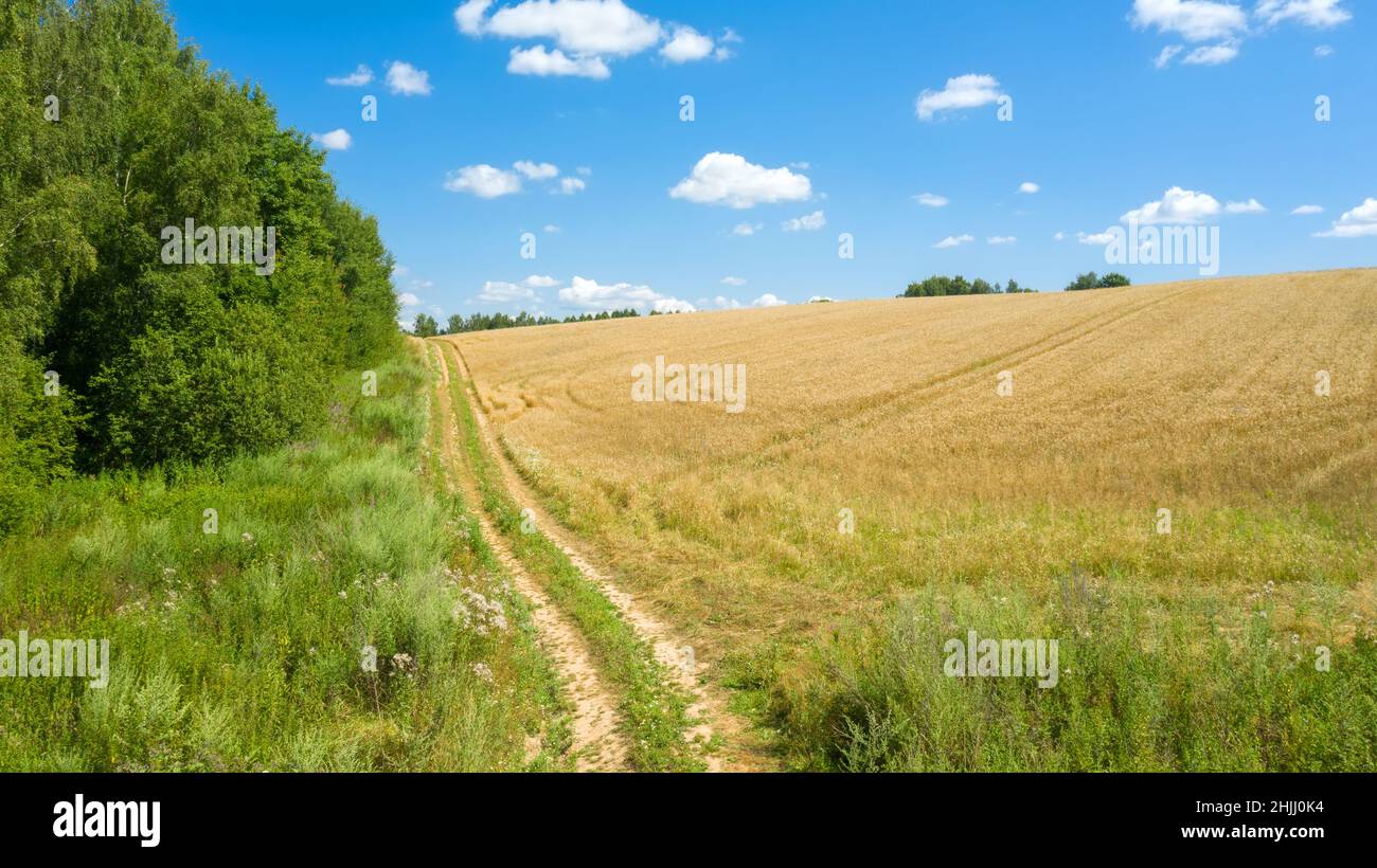 Country roads through farm fields in the countryside Stock Photo - Alamy
