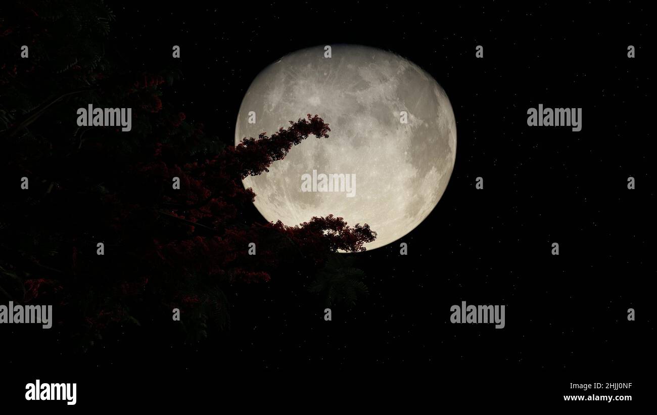 Big Moon branch tree in beautiful 3d style Nature weather blue sky 3d ...