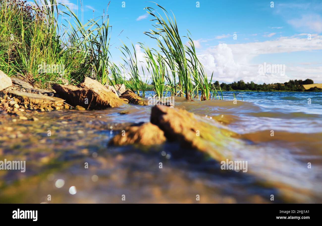 Water surface. The texture of the water. Waves on the lake windy ...