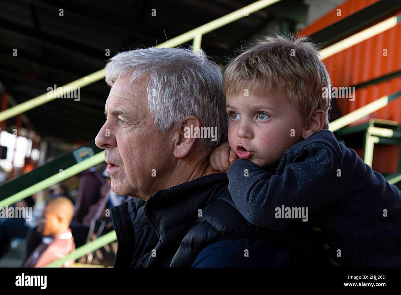 Boy and his grandfather in a stadium watching rugby Stock Photo - Alamy